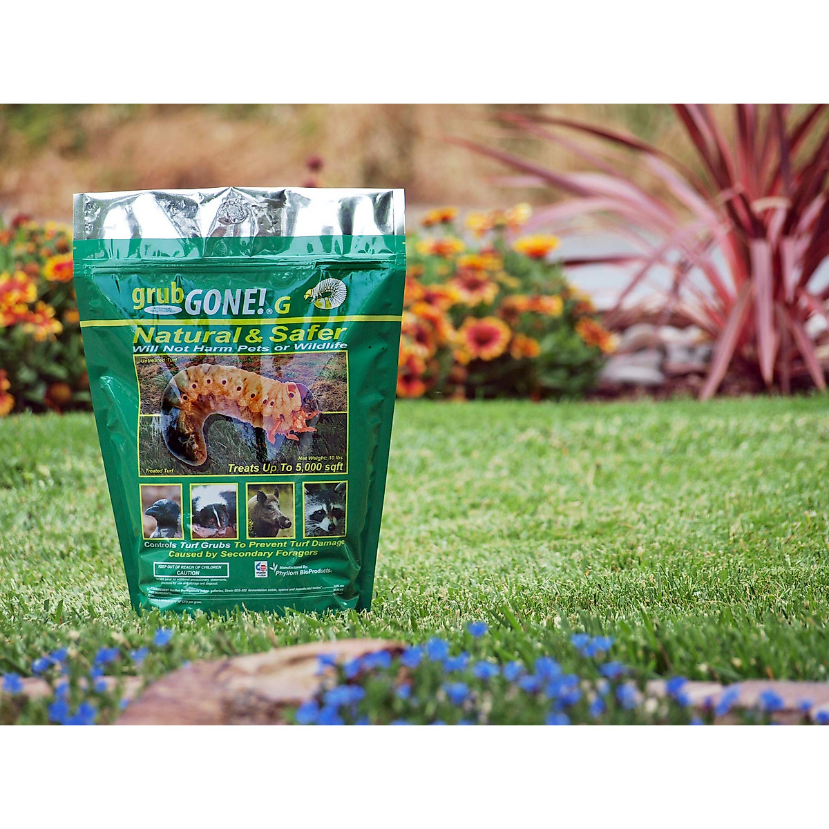 BioProducts' grubGONE! Natural Organic Grub Control Granule with BTG