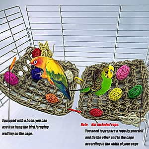 Bird Foraging Wall Toy Natural Seagrass Woven Parrot Activity Wall Hanging Hammock Cage Intelligence Chew Toy with Colorful Rattan Balls for Small Parrot Parakeet Conure Cockatoo Budgie Lovebird