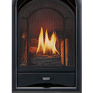 ProCom Dual Fuel Ventless Gas Fireplace Insert with Thermostat Control, 5 Fire Logs, Use with Natural Gas or Liquid Propane, 15000 BTU, Heats up to 600 Sq. Ft., Black