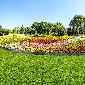 CAIGAIC Landscape Edging Stakes 30 Pack, 10 Inch Garden Landscape Anchoring Stakes for Terrace Board, Landscape Edging Coil, Grass Barrier, Bender Board, Garden Liner