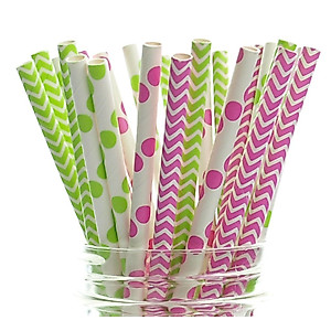 Watermelon Straws, Summer Hot Pink & Green Party Supplies - 25 Pack - Garden Wedding Supplies, Vintage Assorted Color Polka Dot & Chevron Striped Fruit Watermelon Birthday Straws