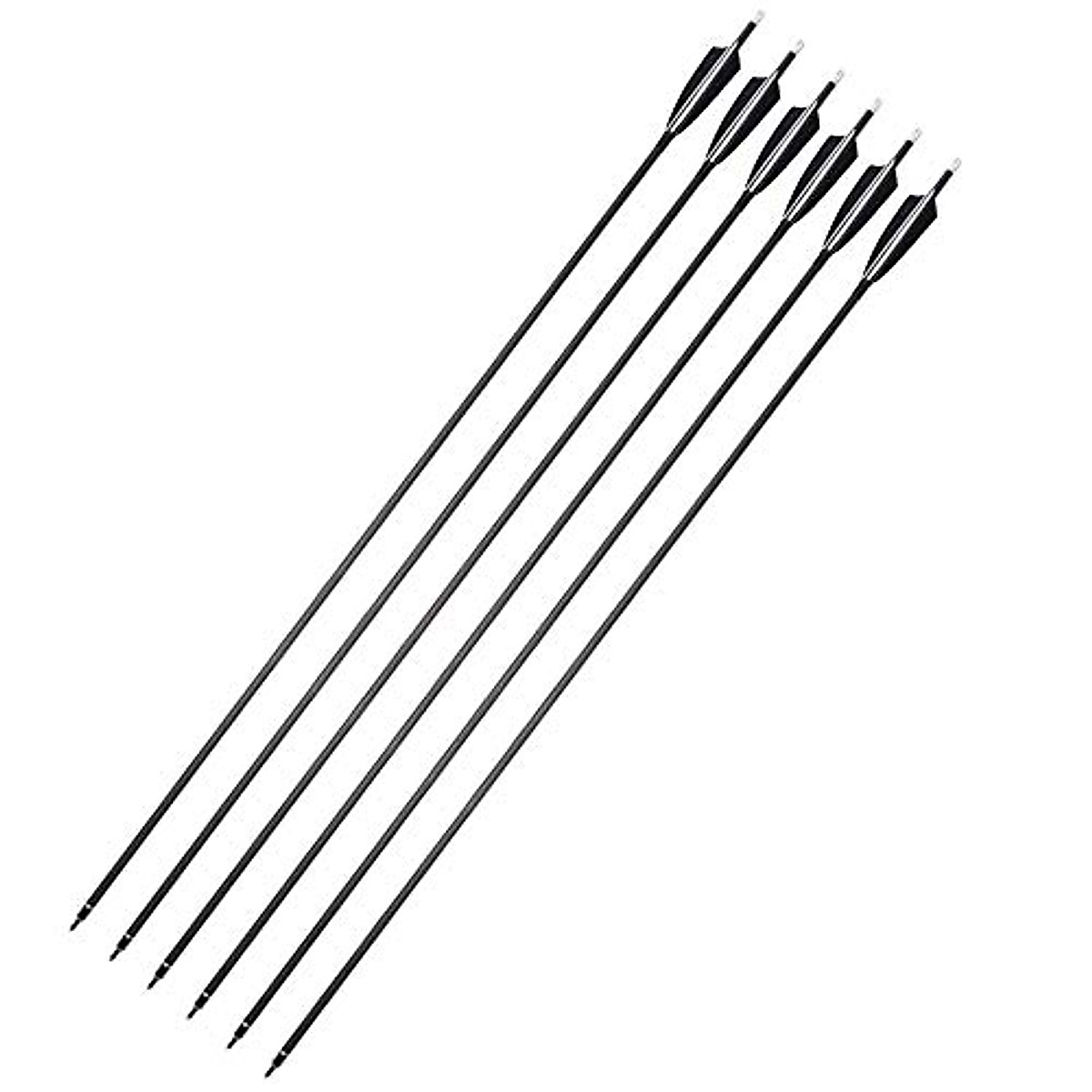 AMEYXGS 6/12pcs Carbon Arrows 34inch Practice Arrow with True Feathers and Detachable Arrow Tips 500 Spine Shooting Practice Arrows for Compound Bow Recurve Bow (12pcs)