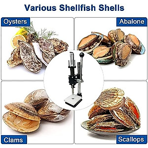 Winb Oyster Opener Machine with plate and seafood Knife sets, Oyster Shucker Tool Set for Restaurant, Hotel, Supermarket, Seafood Stores