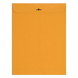 Amazon Basics 9 x 12-Inch Clasp Kraft Envelopes, Gummed, 100-Pack