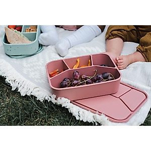 Spoondrift 100% Food Grade Eco-Friendly Leak-Proof Silicone Bento Box Lunchbox, For Child And Adult, 4 Compartment, Choose from 6 Colors, Includes 1 Box (Dark Pink)