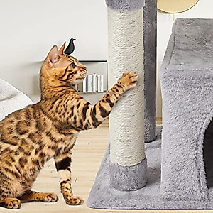 FISH&NAP US16H Cute Cat Tree Cat Tower for Indoor Cat Condo Sisal Scratching Posts with Jump Platform Cat Furniture Activity Center Play House Grey