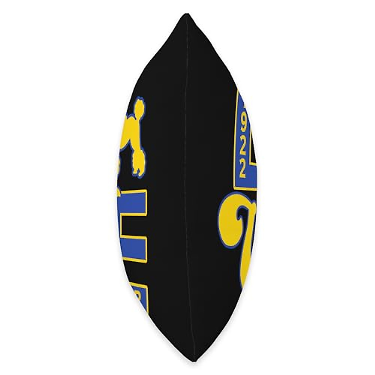 Sigma Gamma Rho Sorority Throw Pillow