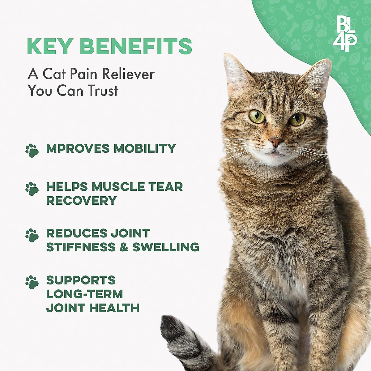 Cat Hip and Joint Pain Relief Supplement - Cat Arthritis Pain Relief, Heal from Sprains, Inflammation and Injuries, Improve Mobility - Natural Easy-to-Swallow, Odorless, Tasteless - 400 Pills