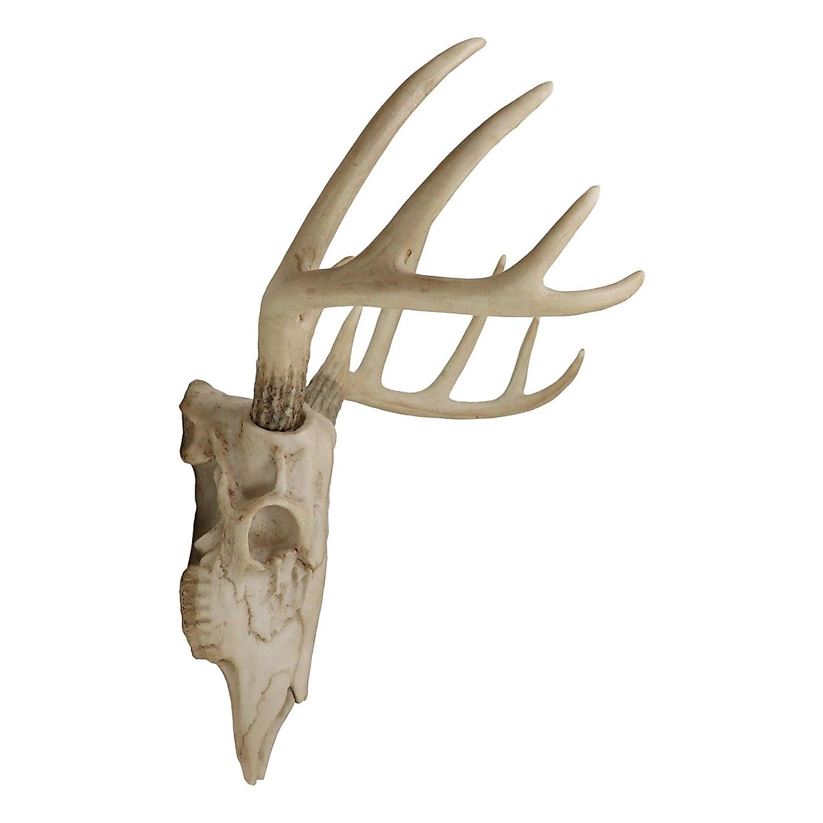 Ebros Gift Rustic Hunter Deer 10 Point Buck Skull Trophy Antlers Wall Mounted Plaque Trophy Decor Figurine 14.25" Long Hunter's Antler Rack Theme Deers Bucks Hunting Skulls Trophies Hanging Sculptures