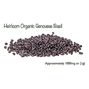 DesertUSA Heirloom Organic Genovese Basil Garden Grow Kit in Gift Box, Non-GMO Herb Seeds, Instructions, Bamboo Plant Labels, 2 Pots, Rose Quartz