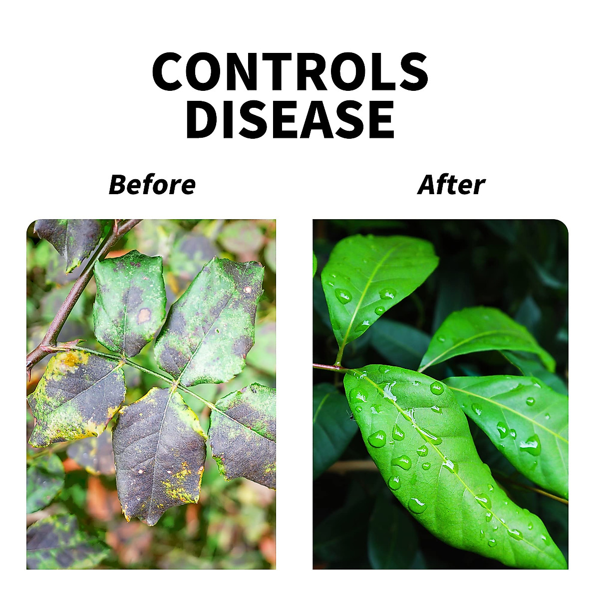 Nasticide Fungicide Made of Plant extracts, Natural Fungicide for Plants, Pesticide Concentrate Spray, Organic Disease Control Fungicide for Lawns, 8oz