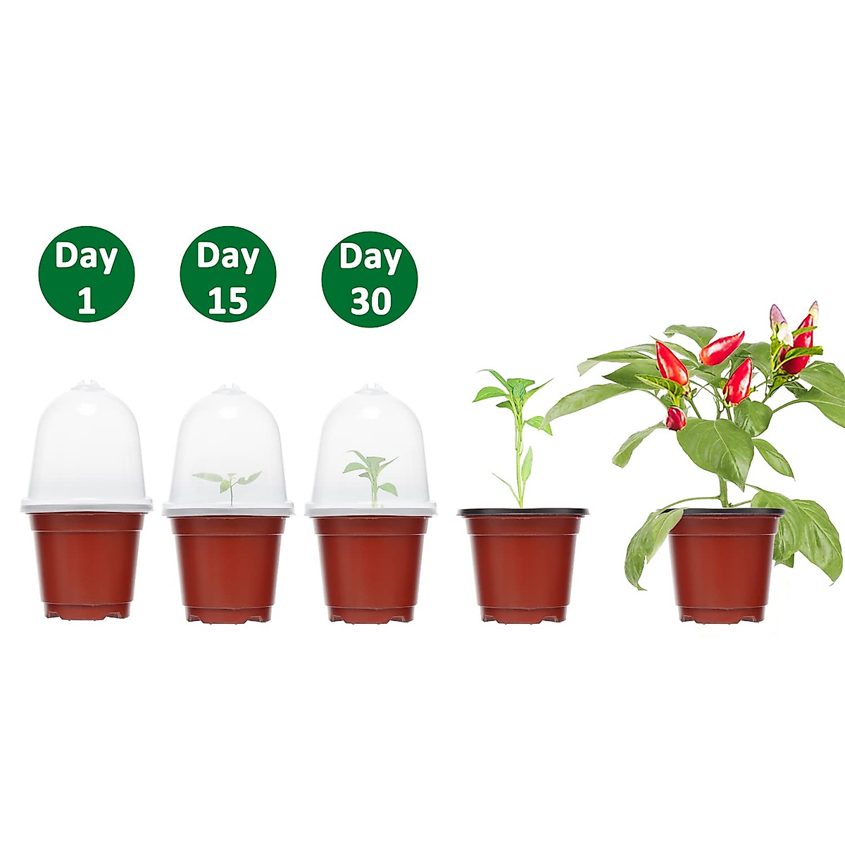 Gardenvy Plant Nursery Pots with Humidity Dome, Reusable Seed Starter Pots with Drainage Holes, Soft Transparent Plastic Gardening Cups for Seedling, 10pcs Plant Labels, 30 Sets