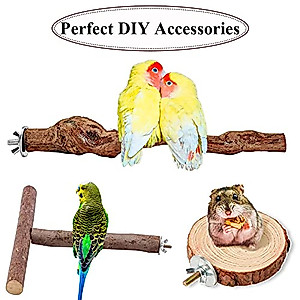 Bird Cage Screws Bird Perch Screws Bird Stand Platform Accessories 20 Washers 10 Screws 10 Wing Nuts 1 Drill Tool Hardware for Fixing Bird Playground Perch Food Bowls Feeder Breeding Box (10 Sets)