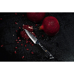 Oxford CHEF Paring Knife- 3.5 Inch - Damascus Japanese- VG10 Super Steel 67 Layer High Carbon Stainless Steel- Razor Sharp, Stain & Corrosion Resistant, Awesome Edge Retention