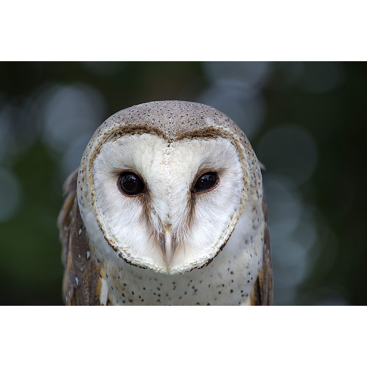 Tamron B028N 18-400 mm f3.5-6.3 Di II VC HLD Lens for Nikon - Black