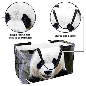 KQNZT Reusable Grocery Bags, Heavy Duty Reusable Shopping Bags, Large Tote Bags with Long Handles and Reinforced Bottom, Animal Panda