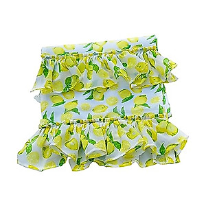 Throw Pillow Lemon Ruffle TV Console Unit Runner/TV Cabinet Cover Diwali Festival Decor (3 Feet TV Console(14x48 Inches)