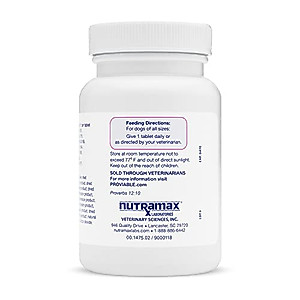 Nutramax Proviable Digestive Health Supplement Multi-Strain Probiotics and Prebiotics for Dogs, With 7-Strains of Bacteria, 60 Chewable Tablets