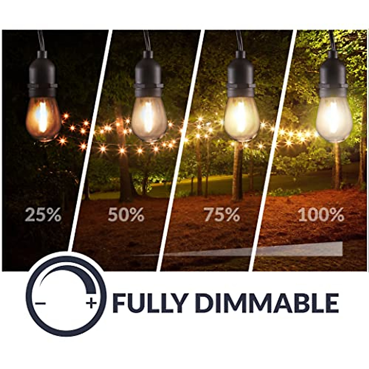 Newhouse Lighting LED String Lights with Weatherproof Technology, Dimmable with Wireless Remote Control, 48ft and 16 (15+1 Free) LED Light Bulbs Included, Black (CSTRINGLEDDIM)