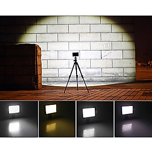 Lightdow LD-160 Ultra High Power Dimmable 160 LED Bulb Video Light for Canon Nikon Sony DSLR Camera