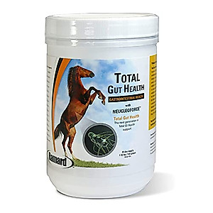 Ramard Total Gut Health Horse Supplement for Digestion, Horse Powder Supplement for Gastrointestinal Health & Total Gut Balance, Equine Feed Powder Horse Gut Health Supplement - 1.12lb, 30-Day Supply