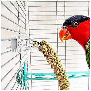 WishLotus Bird Cage Feeding Clips, 4 PCS Plastic Durable Parrot Fruit Vegetable Clips Bird Cage Food Holder Mini Bird Cage Feeder for Pet Birds and Parrot Feeding Bird Cage Accessories (A)