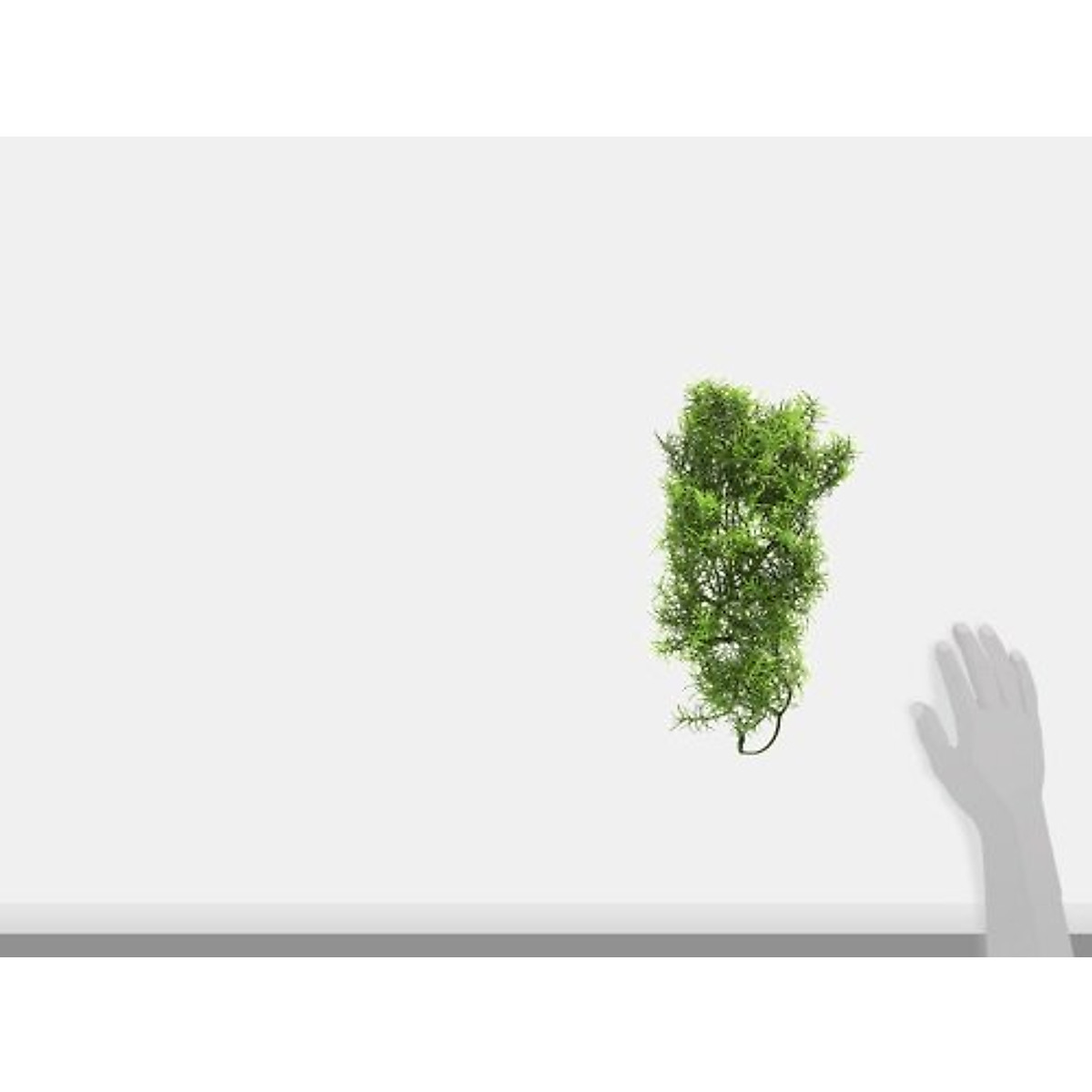 Zoo Med Laboratories SZMBU28 Natural Bushy Cashuarina, Medium