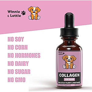Collagen for Dogs - Liquid Collagen for Dogs - Skin and Coat Supplement for Dogs - Dog Liquid Collagen - Dog Collagen - Dog Collagen Drops - Collagen Dog - Collagen Dogs - 1 fl oz - Bacon Flavor