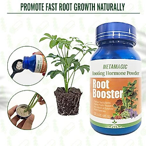 MetaMagic Rooting Hormone for Cuttings Root Stimulator for Plants IBA Rooting Powder for Plant Cuttings Willow Tea Water Rooting Hormone for Plant Cuttings Root Booster for Plants - 3OZ