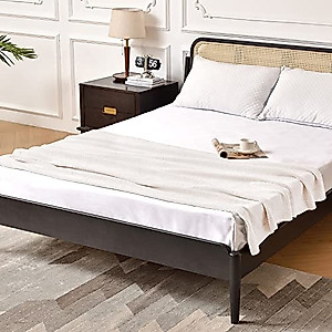 PLEASANT BOULEVARD | Cozy Knitted Throw Knit Blanket, Lightweight Woven Soft Warm Bedspread for Couch Sofa Home Decor and Bed (Beige, Throw(50 x 65in))