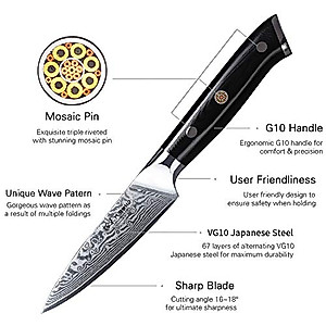 Professinal Damascus steel VG10 Core Kithen Chef Knife Set (Gentleness Raindrop Patter 5 PC)