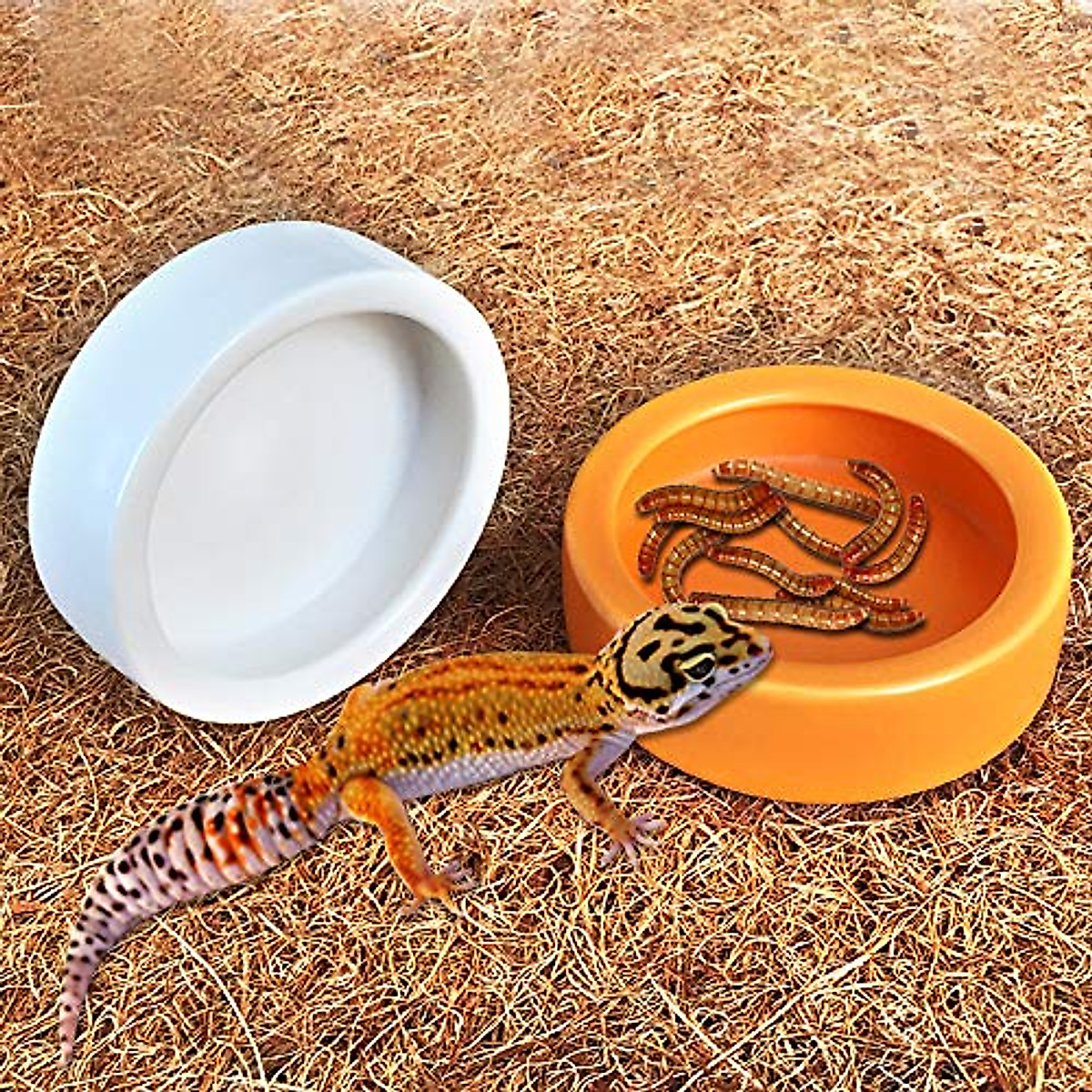 3Pcs Reptile Feeding Tongs Long Tweezers Cricket Clamp Bug Scooper and 2Pcs Reptile Food Bowl Lizard Gecko Food Water Dish Bearded Dragon Feeding Dish, Ceramics Worm Dish