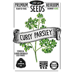 Curly Parsley Herb Growing Kit by Hydrohort | Growing Parsley Seeds is Easy with Our Mason Jar Herb Garden Starter Kit | Parsley Seeds for Planting are Perfect in Our Herb Kit