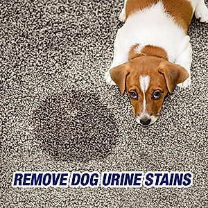 Resolve Urine Destroyer Spray Stain & Odor Remover, Transparent, No Flavor, 32 Fl Oz