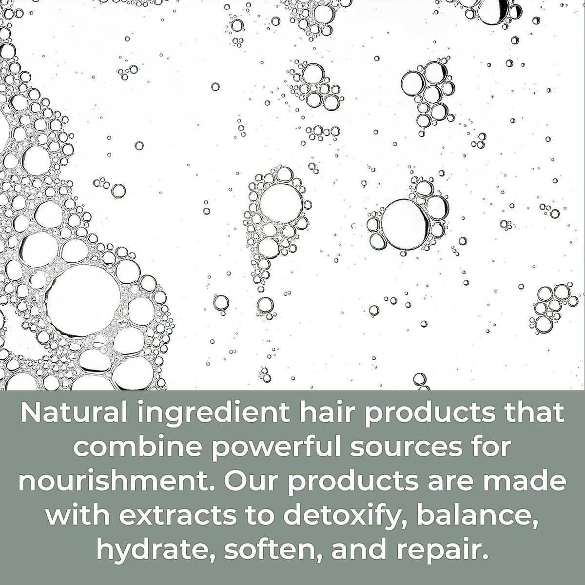 Pierre'S Apothecary Coconut Nourishing Shampoo for Moisturizing | Avocado Oil and Sunflower Oil - 33.8 fl oz