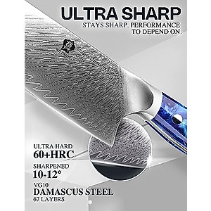 WILDMOK Chef Knife, 8 inch Damascus Japanese chef's knives, Resin Handle kitchen knife, sharp knives kitchen Cooking Knife, chef's knives Including Gift Box