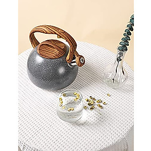 Tea Kettle, 2.7 Quart BELANKO Teapot for Stovetops Wood Pattern Handle with Loud Whistle Food Grade Stainless Steel Tea Pot Water Kettle - Gray