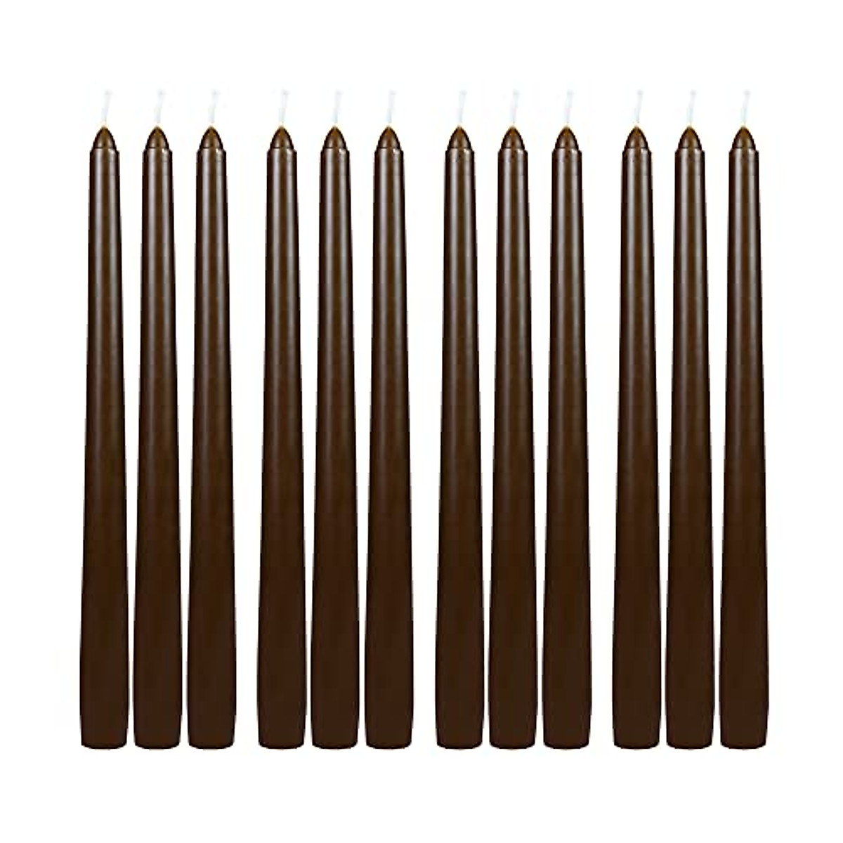 Zest Candle 12-Piece Taper Candles, 10-Inch, Brown