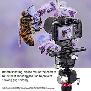 NEEWER 4-Way Macro Focusing Rail Slider with Quick Release Plate, 1/4”-20 Thread for Macro Photography and Close-Up Shooting, Compatible with Canon Nikon Fujifilm Sony DSLR Mirrorless Camera