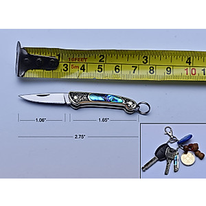JPCRMOV Compact Pocket Knife Keychain for Women, Mini Folding Knife, Tiny EDC Knife, Abalone Shell Handle, Blade Length 1.06", Weighs only 9 Grams