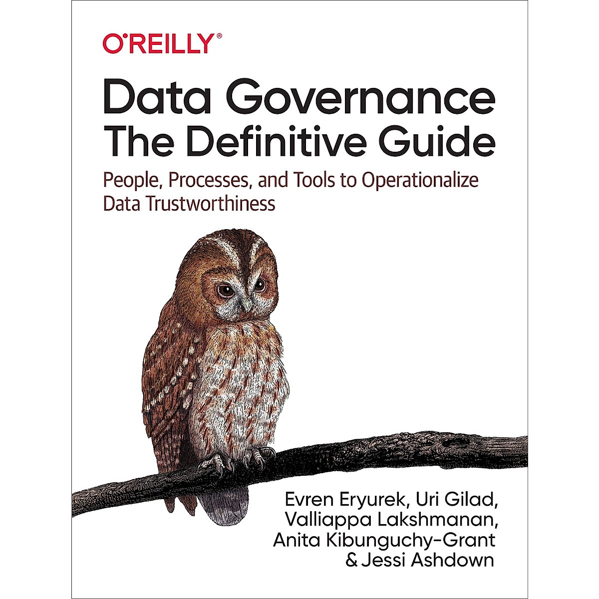 Data Governance: The Definitive Guide: People, Processes, and Tools to Operationalize Data Trustworthiness