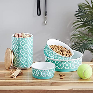 Bone Dry Lattice Collection Pet Bowl & Canister, Single Dish, Medium 6x2", Aqua