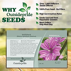 Outsidepride Malva Sylvestris French Hollyhock Zebrina Plant Garden Flower Seed - 500 Seeds
