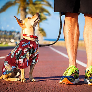 4 Pieces Summer Pet Shirts Hawaii Style Floral Dog T-Shirt Hawaiian Puppy T-Shirts Breathable Pet Cool Clothes Beach Seaside Dog Shirt Sweatshirt for Dogs Pet Puppy (Small)