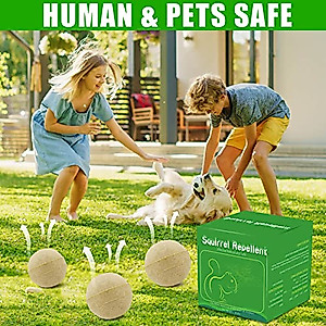 12 Pack Natural Squirrel Repellent for Outdoor Car Yard Garden Plants Indoor Bird Feeder, Peppermint Planted Ingredients Rodent Squirrel Deterrent, Keep Squirrel Mouse Away