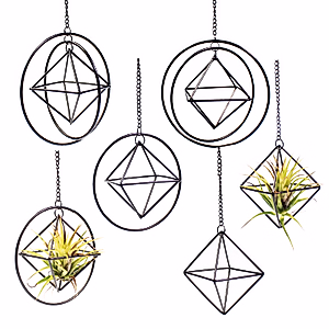 ZOOELAY Air Plant Hanging Holders Black Airplants Hanging Cage Sets Wall Air Planters Hanger 6 Geometric Airferns Indoor Display Frame