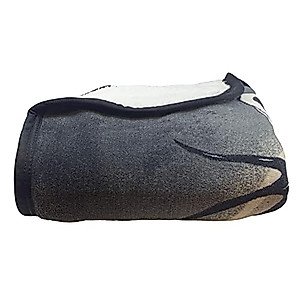 Jay Franco Disney Nightmare Before Christmas Moonlight Madness Sherpa Throw Blanket - Measures 50 x 60 inches, Kids Bedding Features Jack Skellington & Sally - Super Soft