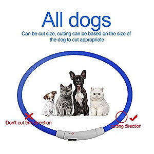 2023 The Newest Light Up Dog Collar, 1PC LED Dog Collar Lights for Night Time, Dog Lights for Night Walking
