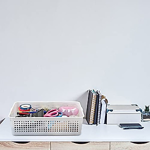 DynkoNA 6-Pack Plastic Shallow Basket trays, Paper Storage Trays