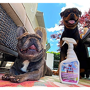 Pet Stain & Odor Miracle - Enzyme Cleaner for Dog Urine Cat Pee Feces Vomit, Enzymatic Solution Cleans Carpet Rug Car Upholstery Couch Mattress Furniture, Natural Eliminator (S/M 32FL OZ)